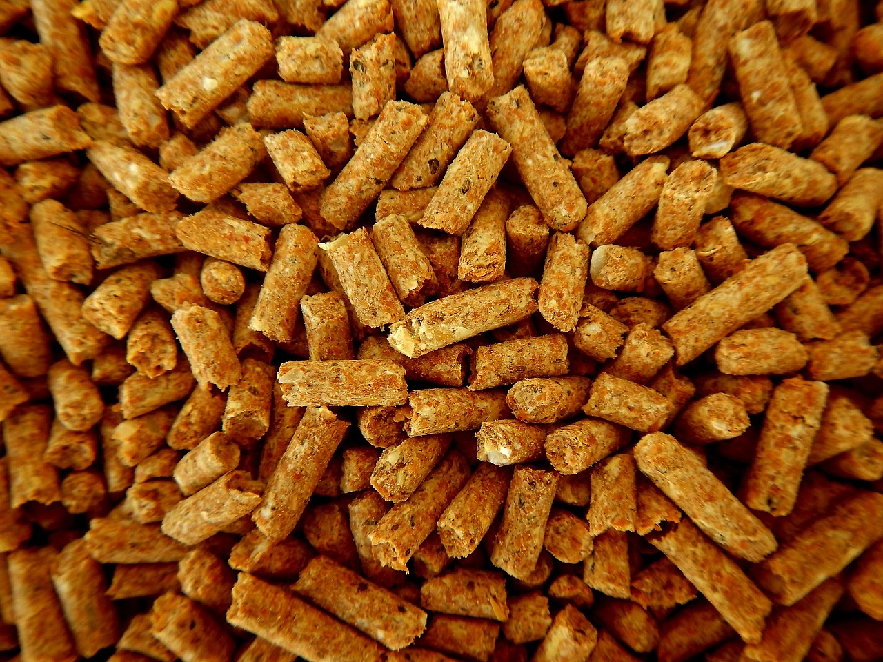 Aboitiz Foods Acquires Singapore's Diasham to Expand Animal Nutrition Portfolio