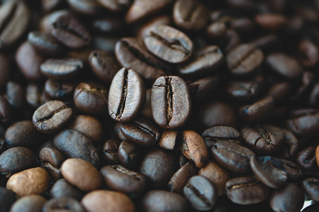 Arabica Coffee Prices Decline Amid Brazilian Tariff Exemption