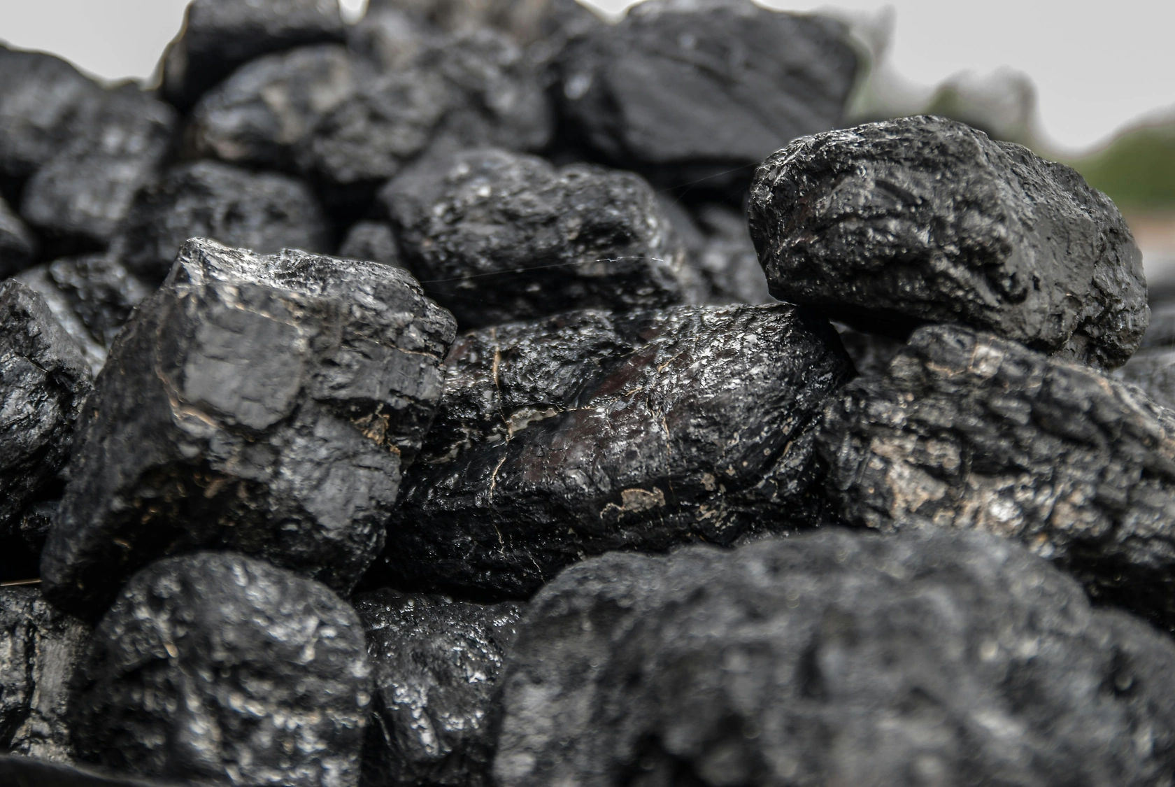 Asian Coking Coal Price Growth Slows in February 2026