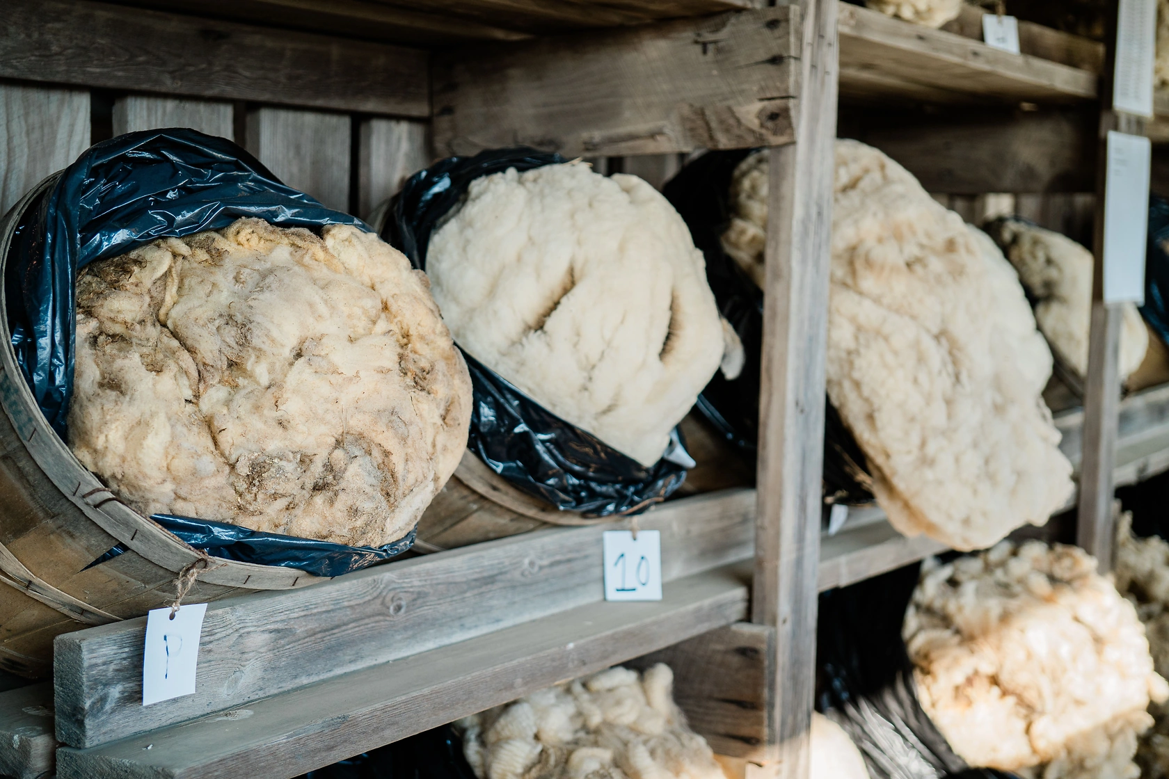 Australian Wool Market Gains in Week 51 of 2025/26 Season