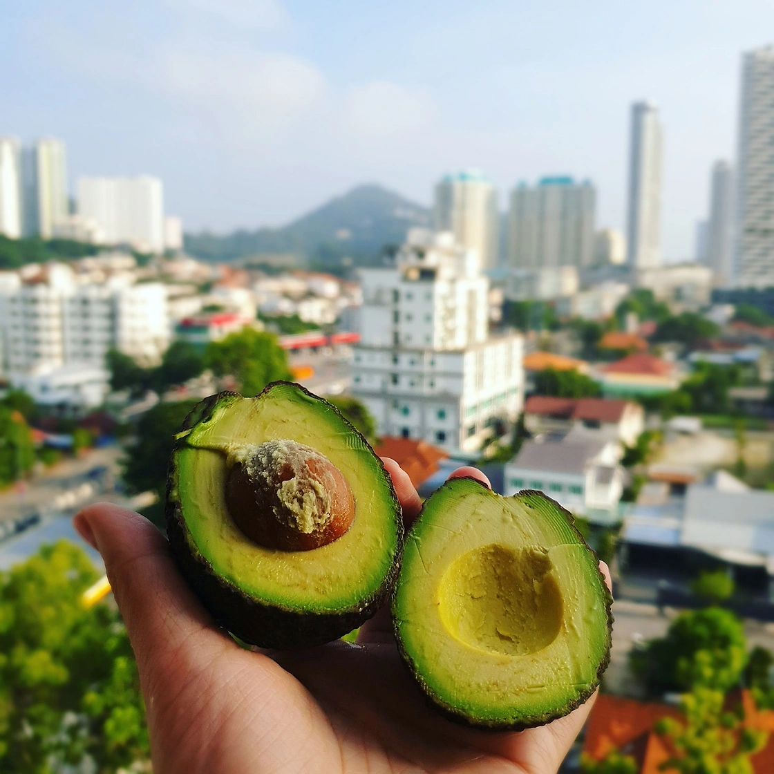 Mission Produce Stock Rises on Analyst Upgrade