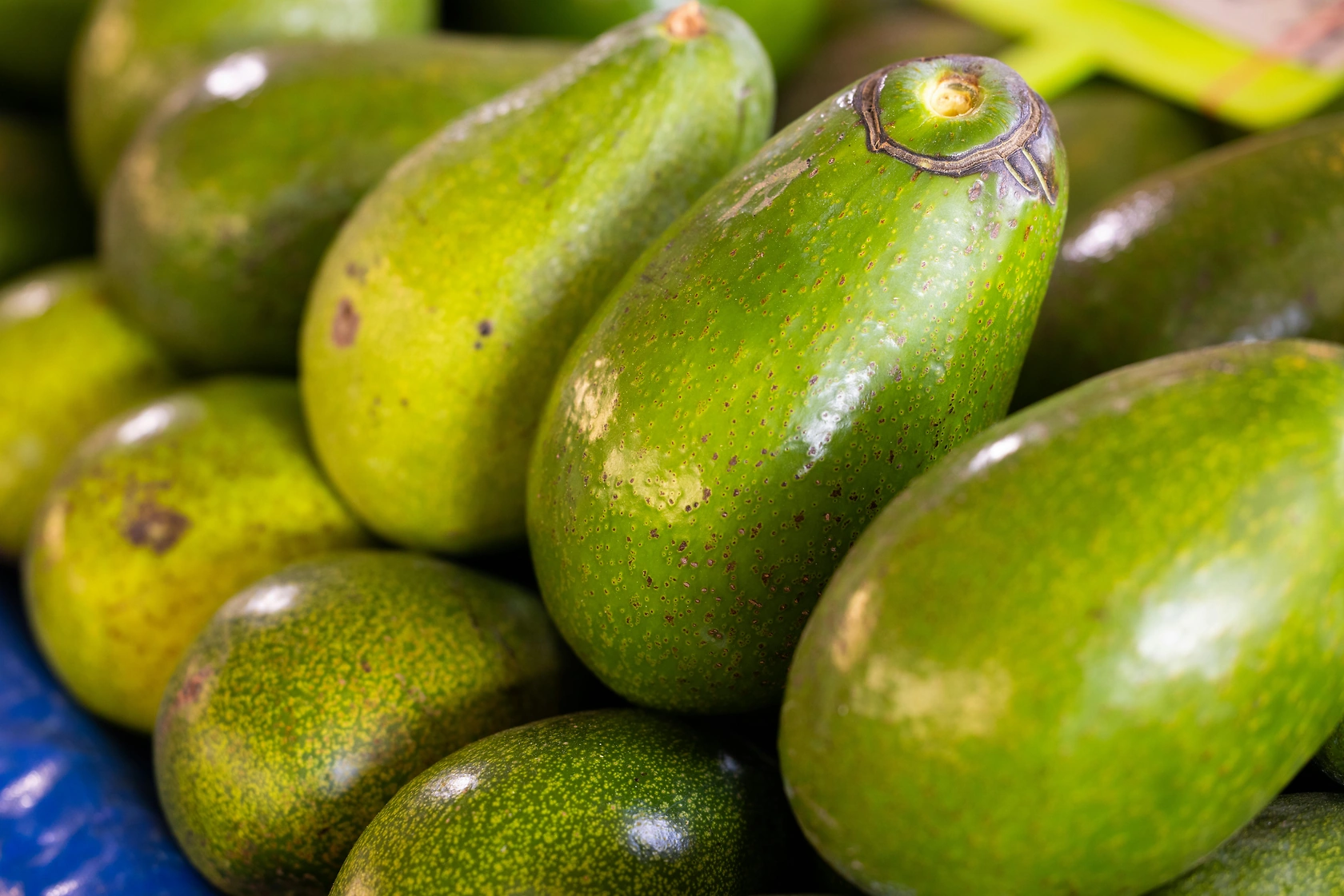 Mission Produce Shares Up 4.8% After Announcing $430M Calavo Acquisition