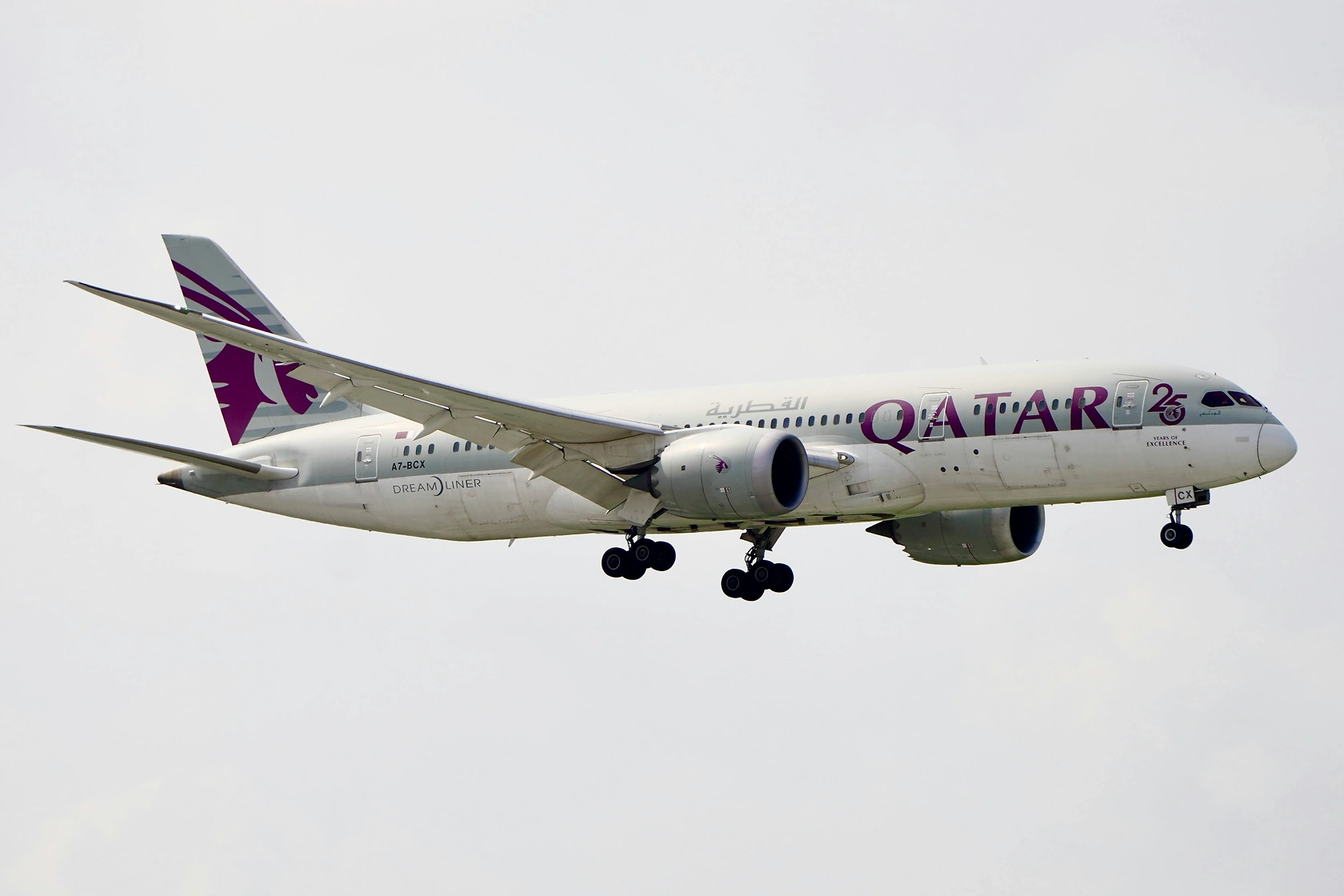 Riyadh Air Launches Cargo Operations Using Widebody Belly Capacity