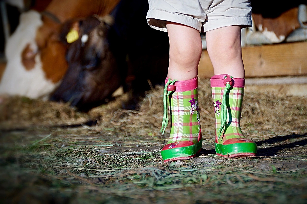 Boot Barn Stock Hits 52-Week High After Goldman Sachs Buy Rating
