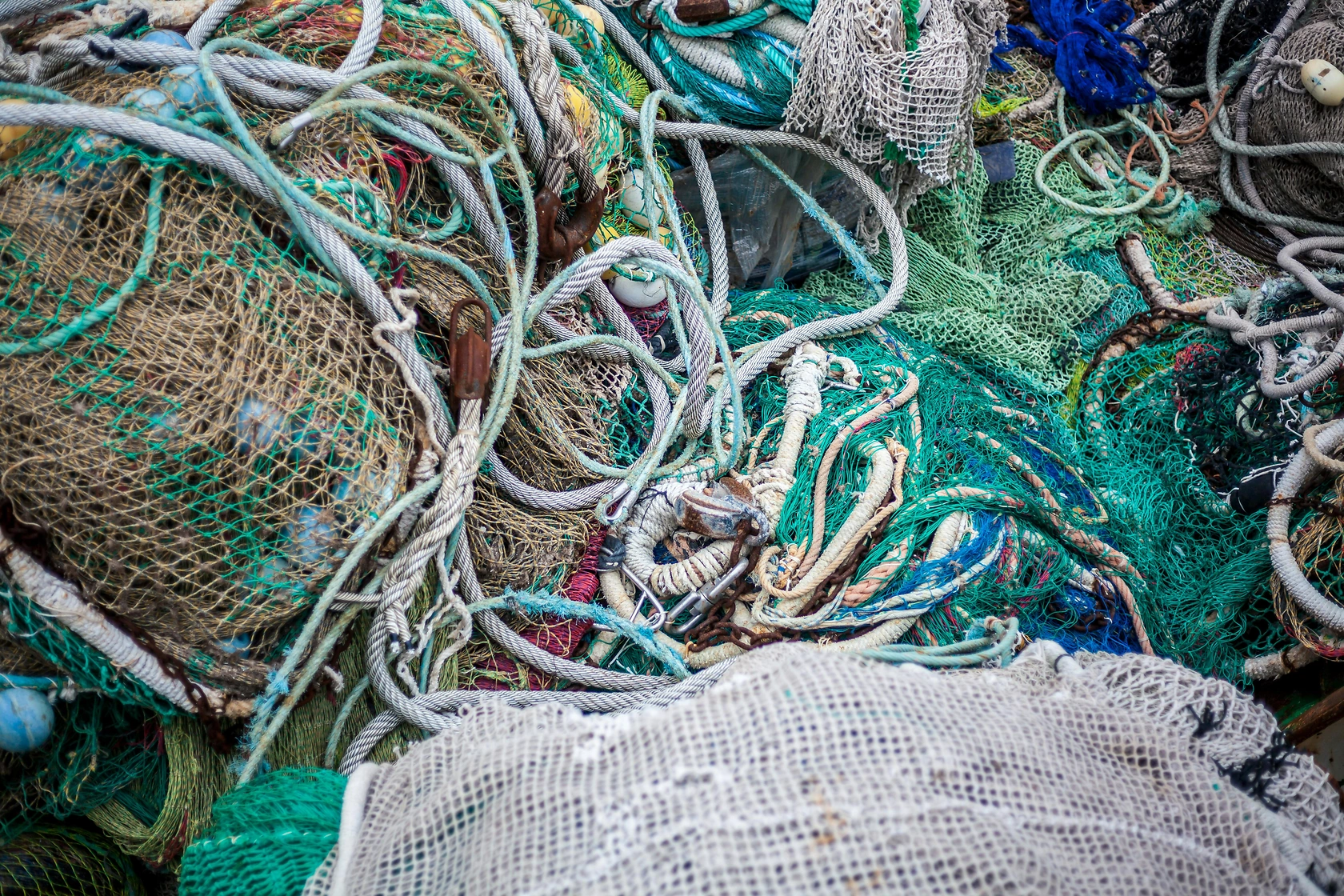 Scotland's Marine Protection Failure: Fishing Decline Highlights Enforcement Gap