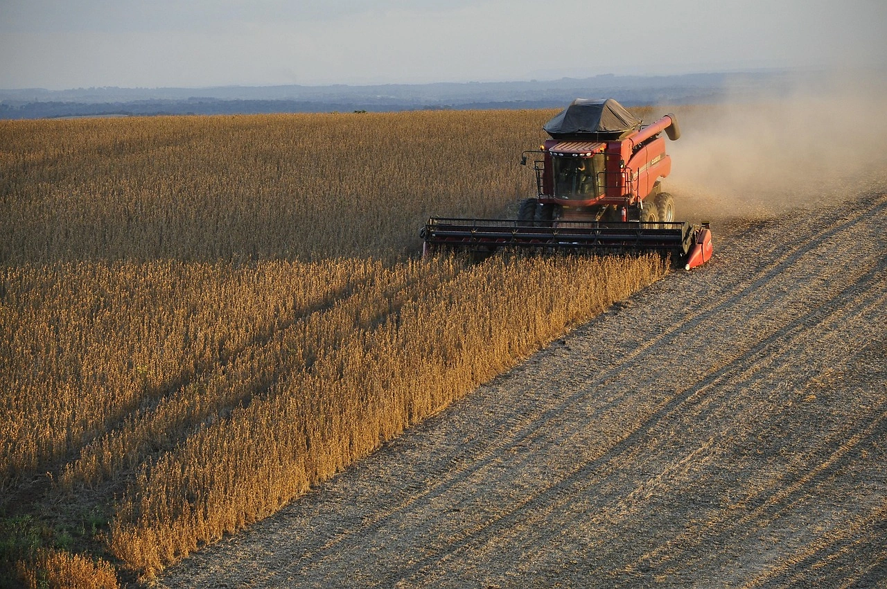 China Buys 600,000 Tonnes of U.S. Soybeans, Nearing 12 Million Tonne Target