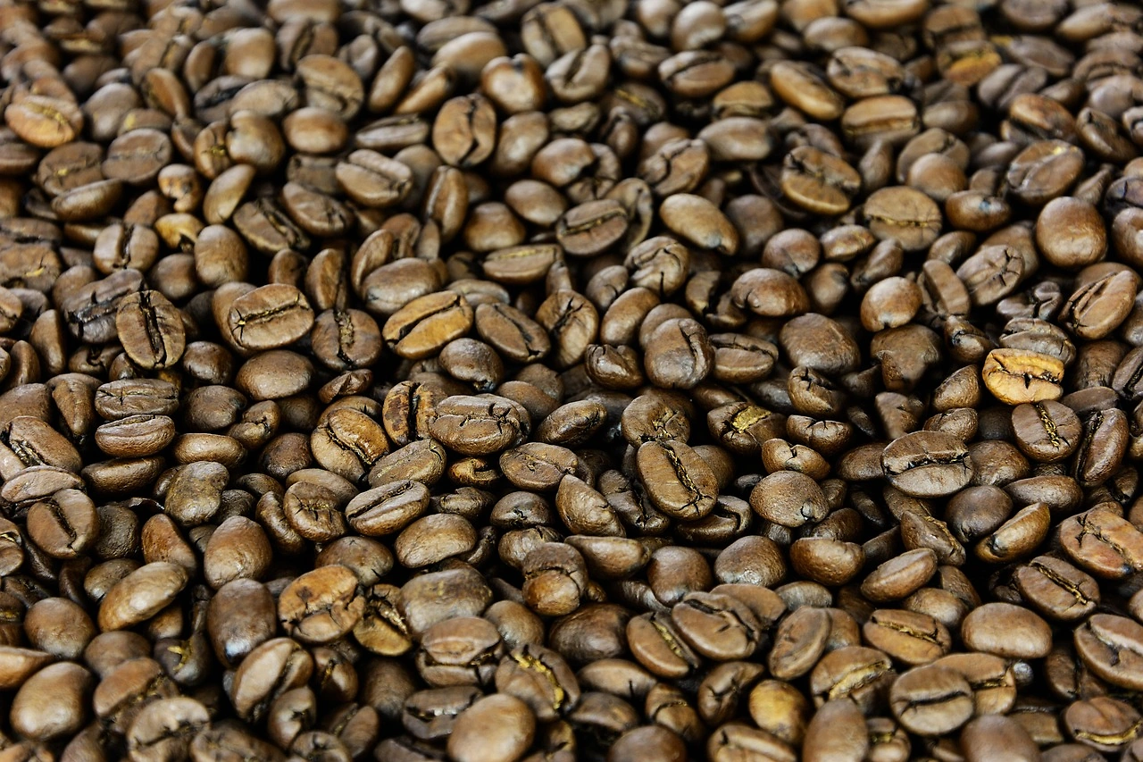 Coffee Prices Fall After U.S. Removes Tariffs on Brazilian Imports