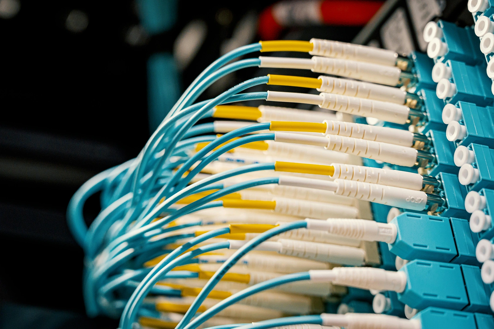 Rodent Damage Scuttles Rescue Bid for Bankrupt Broadband Firm G.Network