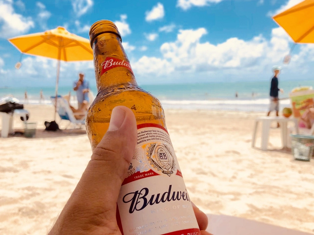 Ambev Reports Strong Q2 Earnings with $479.7 Million Profit