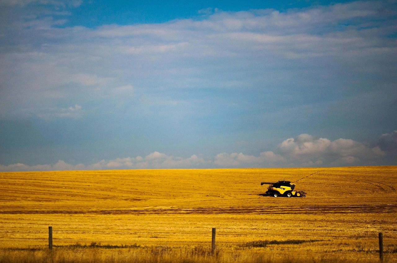 Canada's 2025 Wheat Production Hits Record 40 Million Tonnes