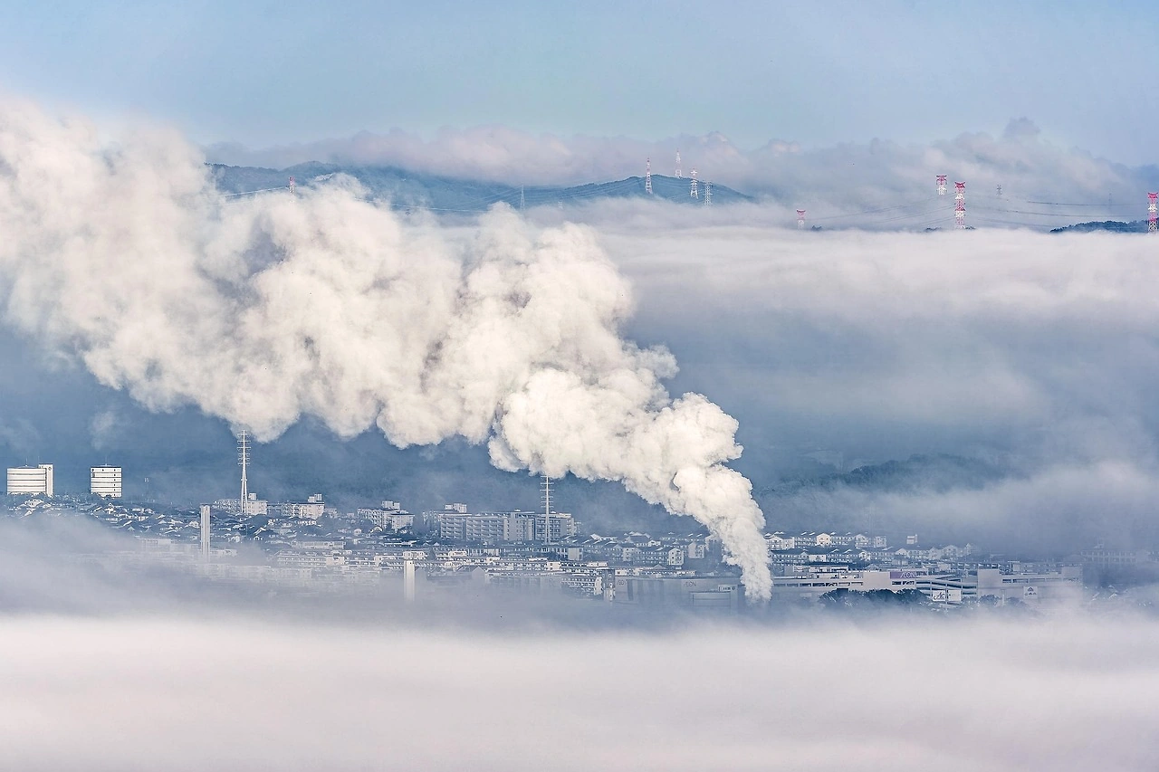 EU Carbon Border Tax Implementation Drives Global Market Shifts
