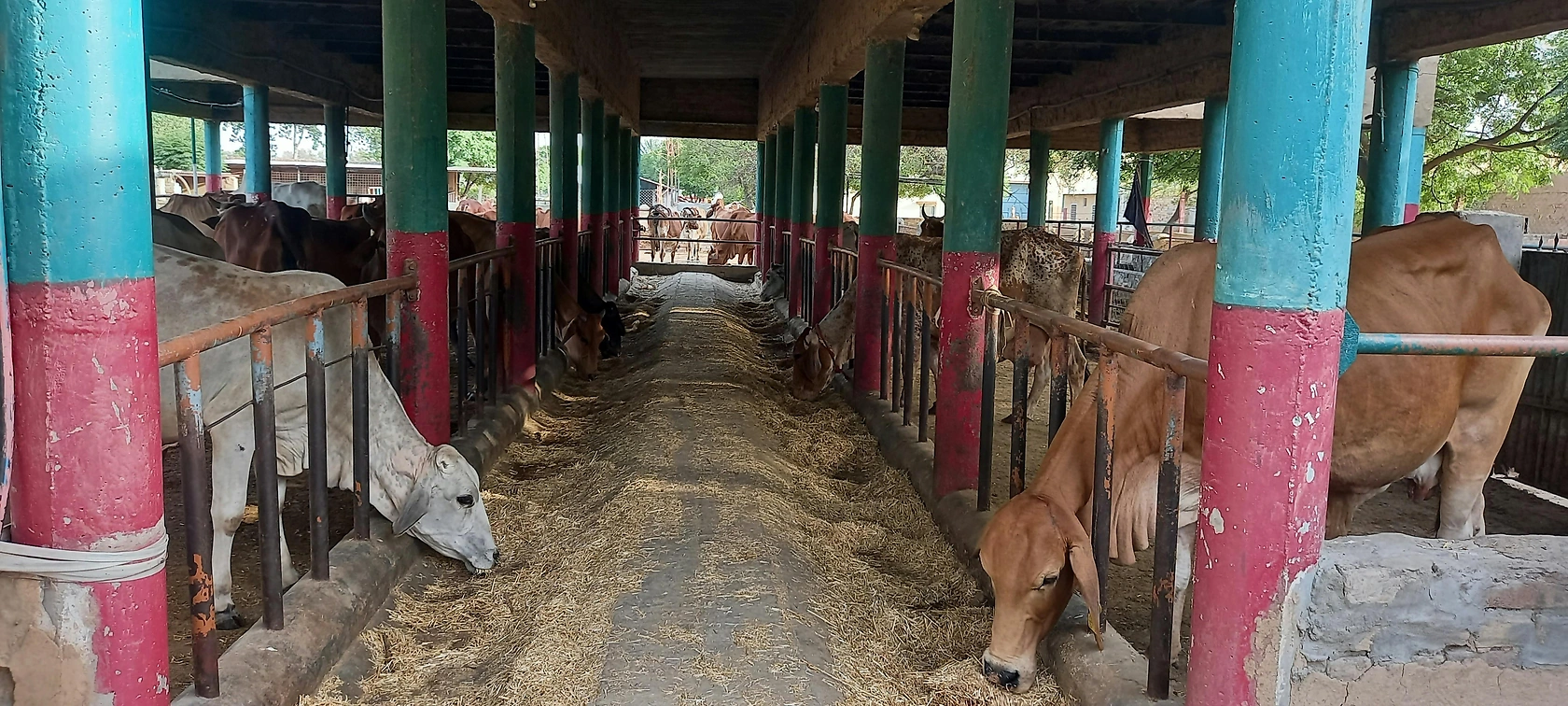 Cargill Opens Major New Dairy Feed Plant in Punjab, India