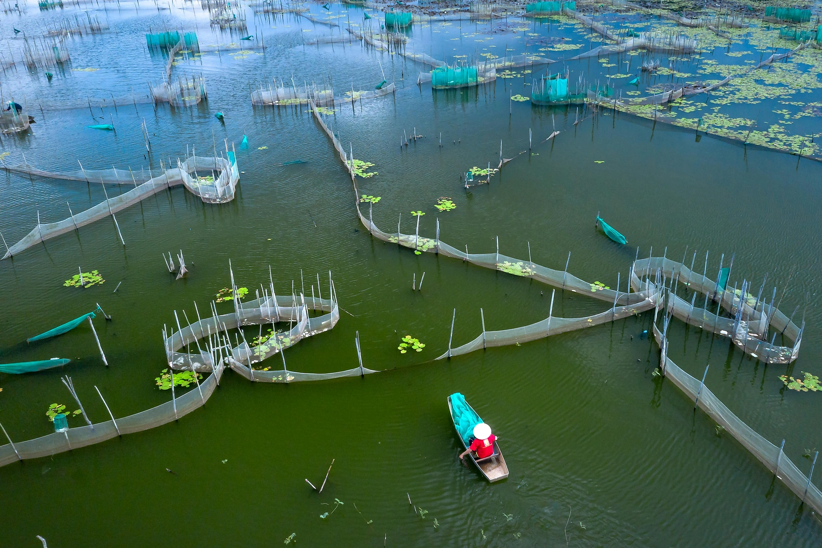 China's Revised Fisheries Law Focuses on Sustainability and Combats Illegal Fishing