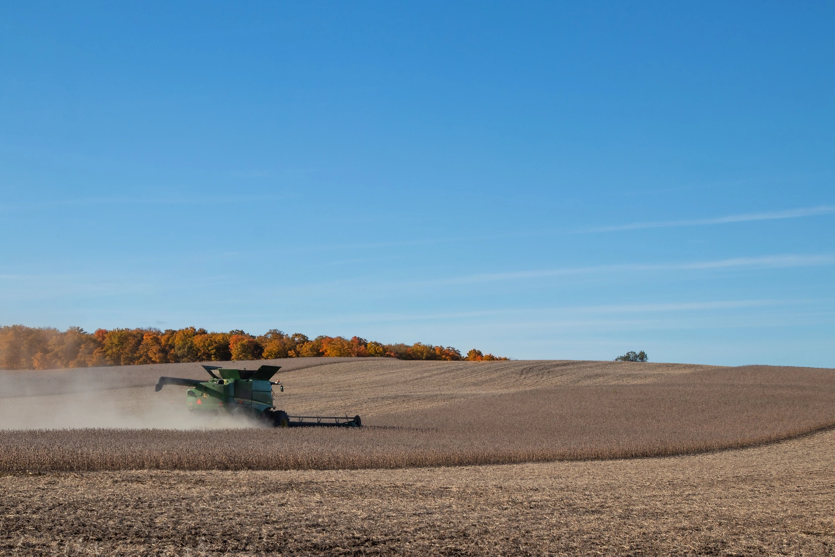 Soybean Futures Fall to $11.2 as Strong Dollar and Oil Drop Weigh on Market