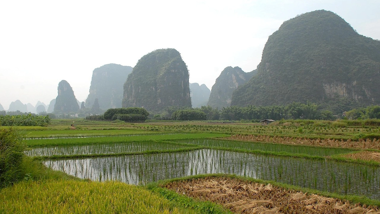 China's Green Agriculture Progress: Fertilizer Use Down 5%, Farmland and Quality Rise