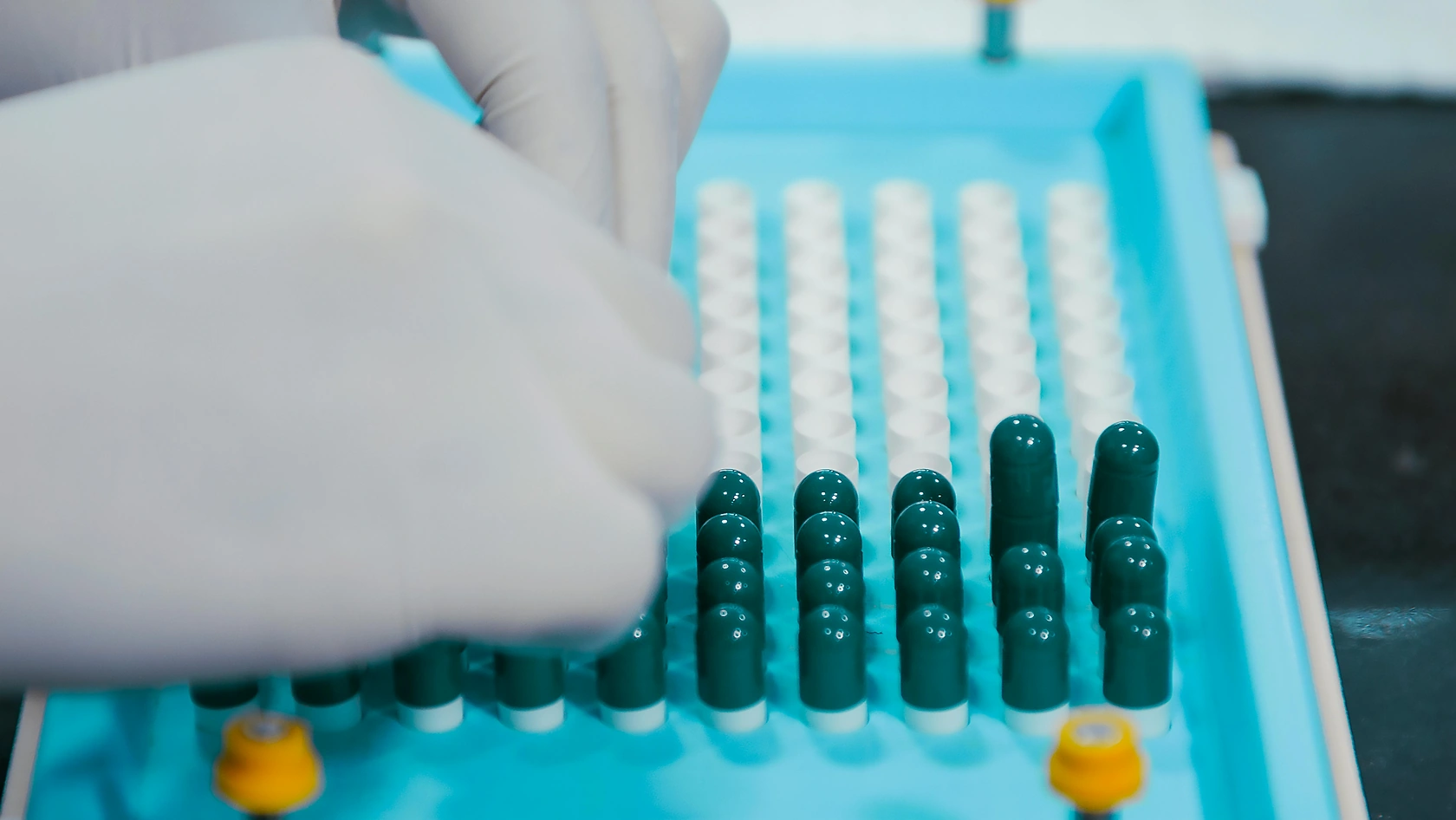 Chinese Pharmaceutical Firms Achieve Profitability in 2025