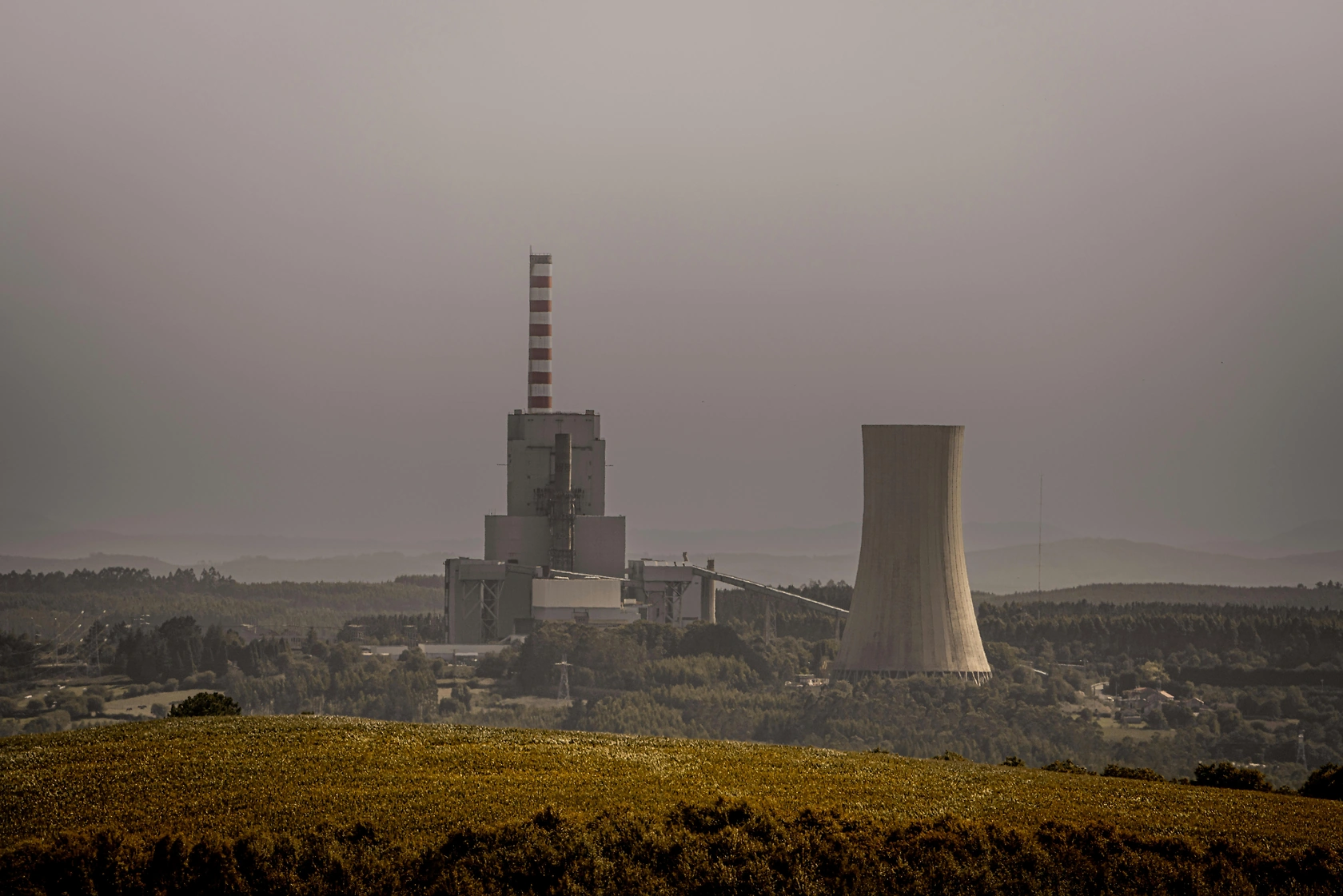 Coal Prices Surge to Near One-Year High Amid Strong Demand