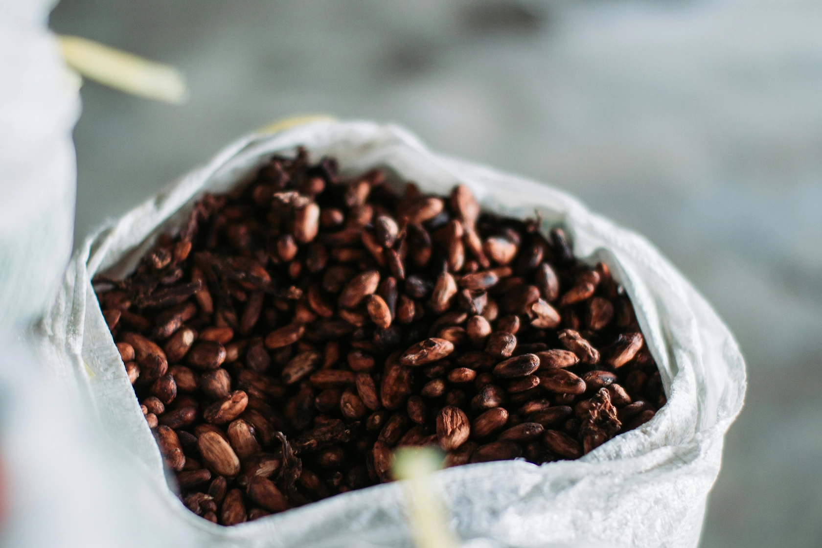 Cocoa Futures Hit Multi-Year Lows Amid Supply Surplus and Weak Demand