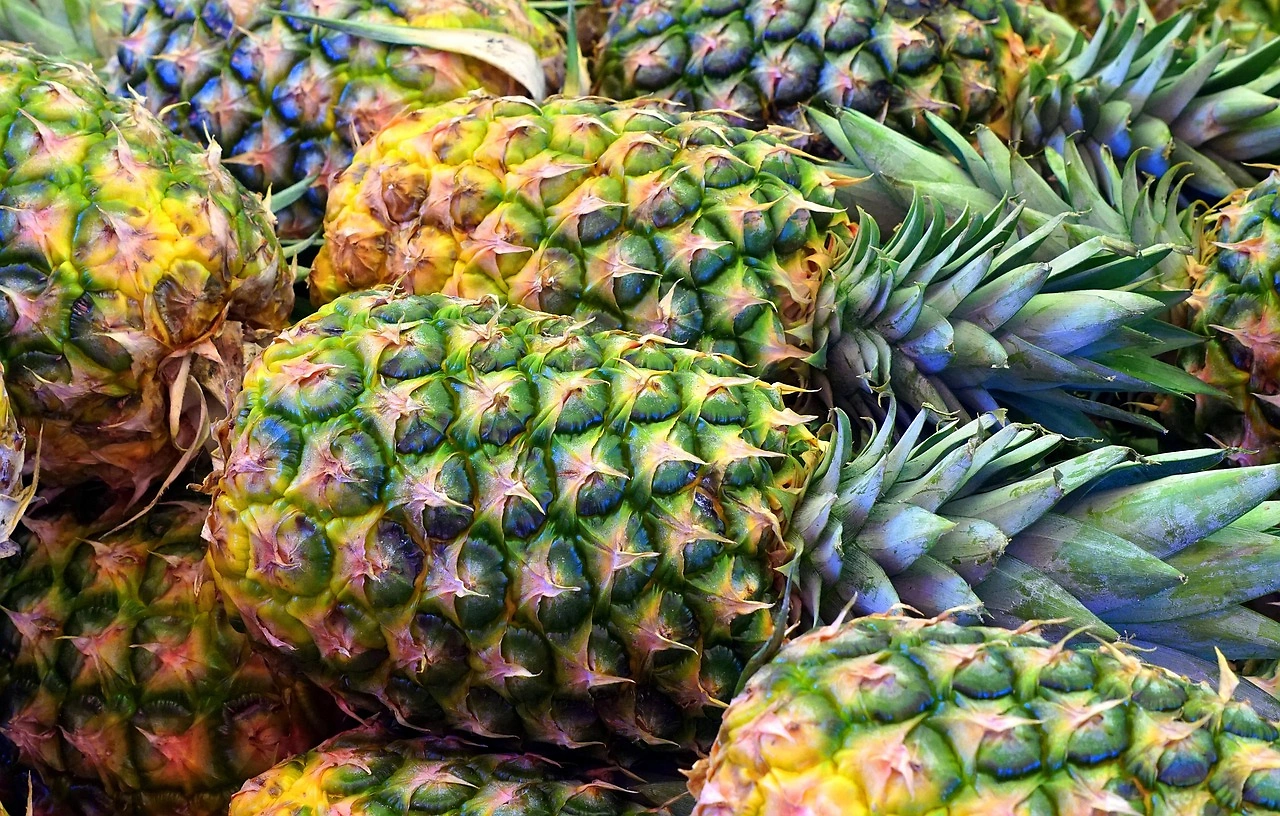 Dole Reports Strong Q3 2025 Revenue Growth, Exceeding Wall Street Expectations