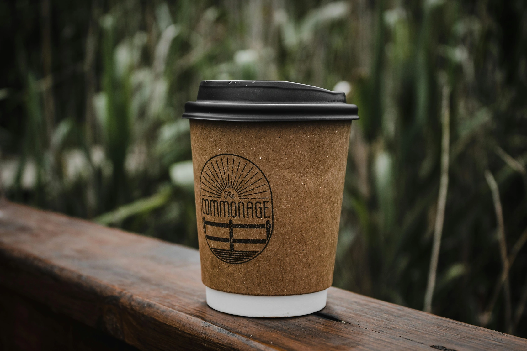 Emerald Ecovations Launches Compostable, Tree-Free CPG Board