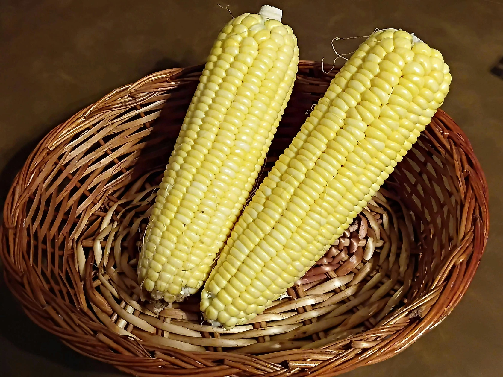 Corn Futures Rise Across All Major Contracts on CBOT