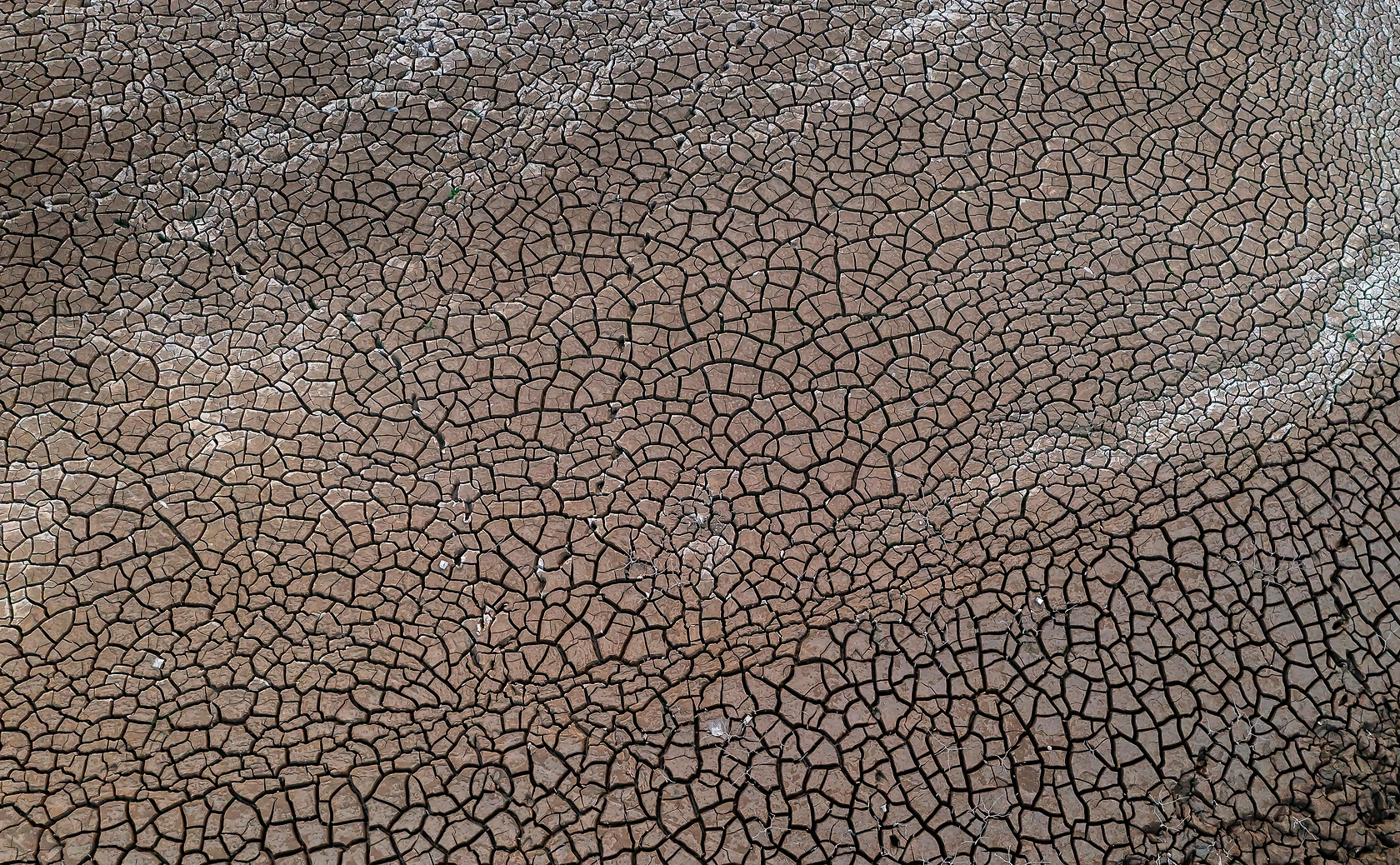 Drought Causes Major Crop Failure in Central Kenya, Threatens Food Security