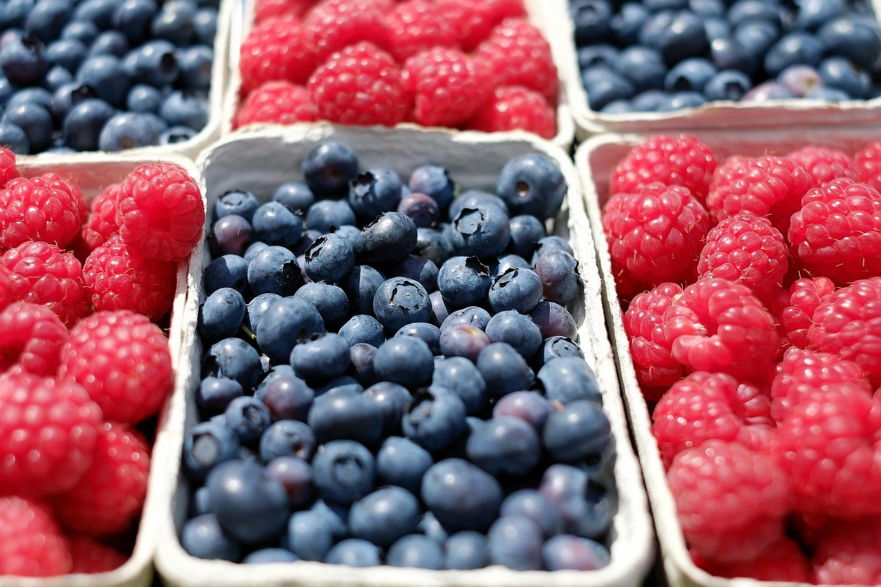 Detroit Terminal Market Fruit Prices Steady in Early March 2026