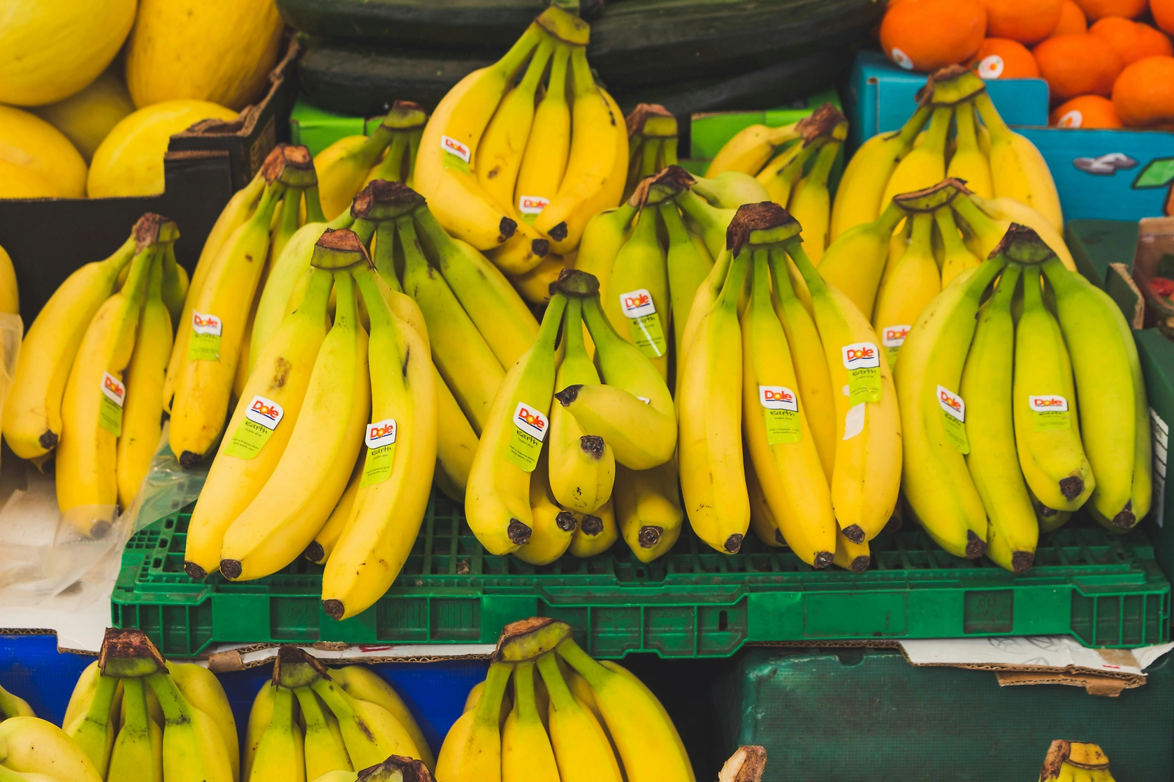 Dole PLC Reports Q4 Loss of $2.7M, Posts Full-Year Profit of $51.3M