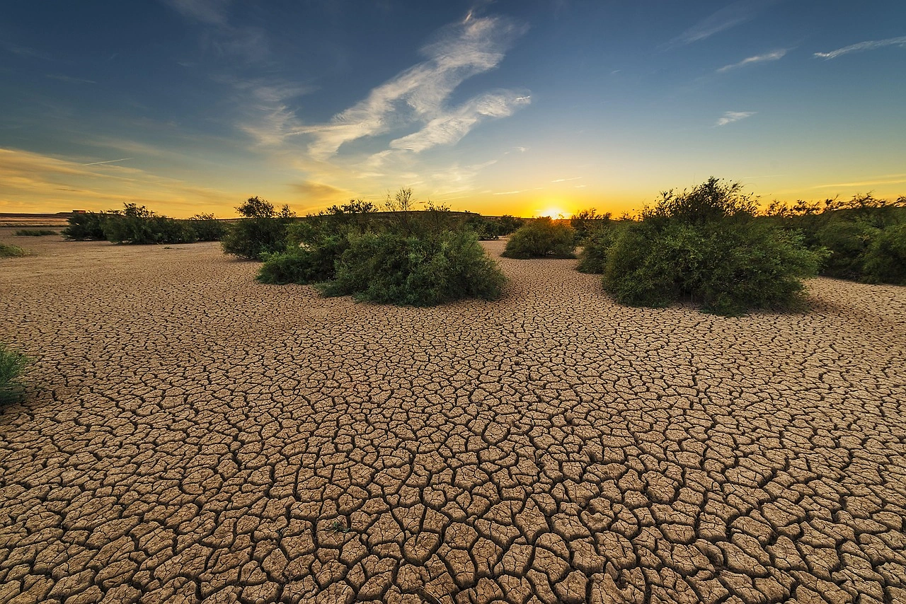Florida's Worst Drought in 25 Years Puts Citrus Industry Under Severe Strain