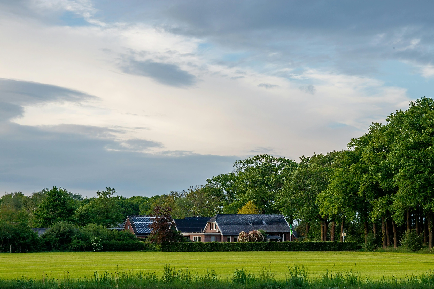 Netherlands Solar Capacity Nears 30 GW Despite 2025 Market Slowdown