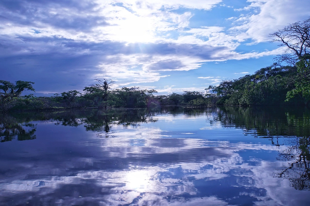 Family's Solitary Effort to Save Endangered Amazon Plants in Ecuador