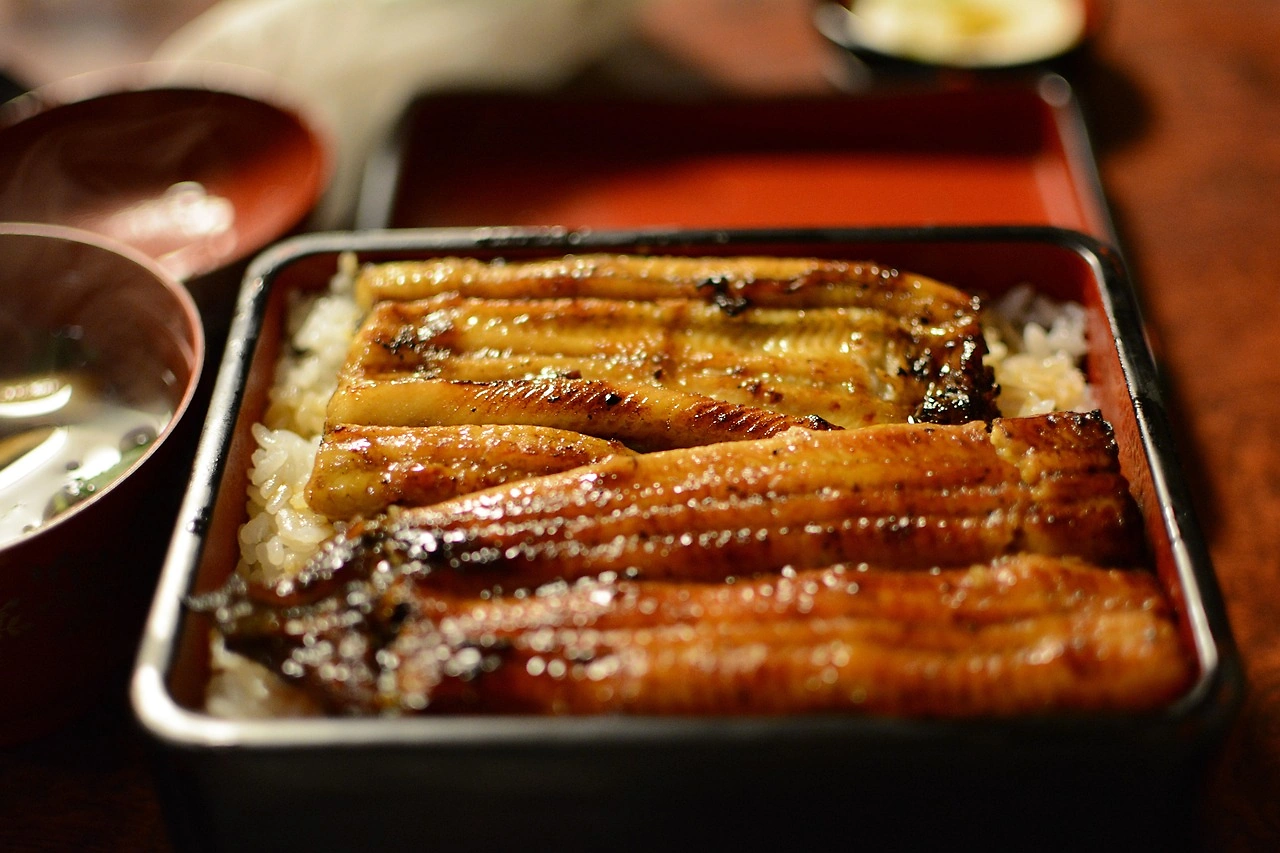 Japan Opposes CITES Eel Trade Regulations at CoP20