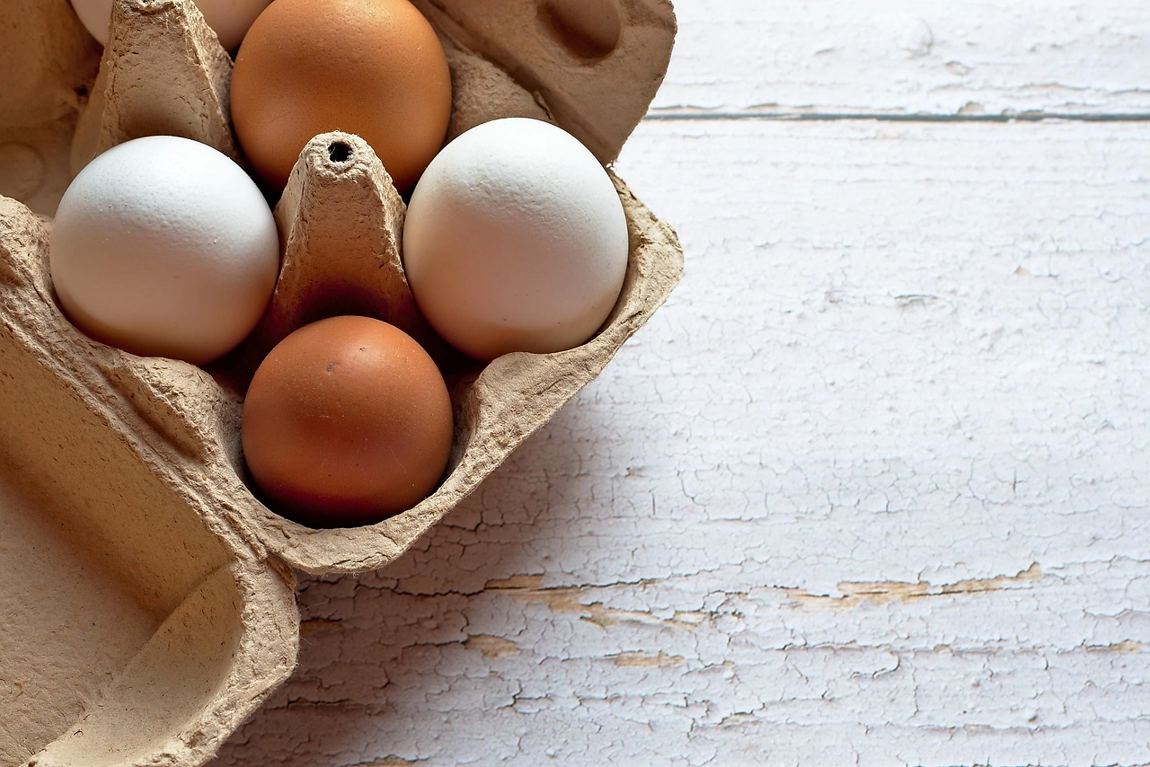 Brazilian Egg Exports to the U.S. Surge Amid Bird Flu Outbreak