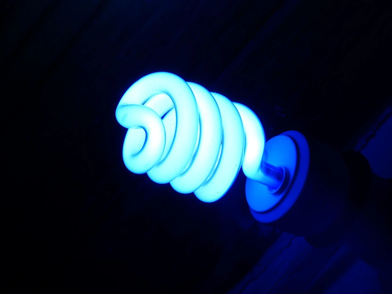 Energy Focus Q3 2025 Financial Results: Reports $172,000 Loss