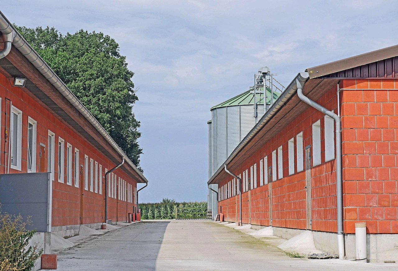 EU Compound Feed Production Forecast to Increase Slightly in 2025
