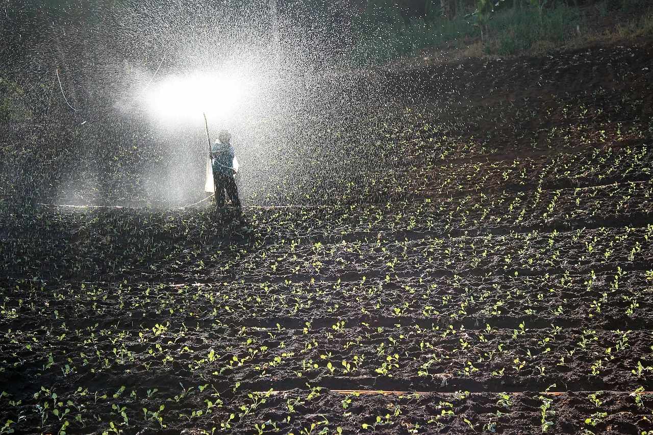Farmers Turn to Certified Biologicals to Cut Fertilizer Costs in 2026