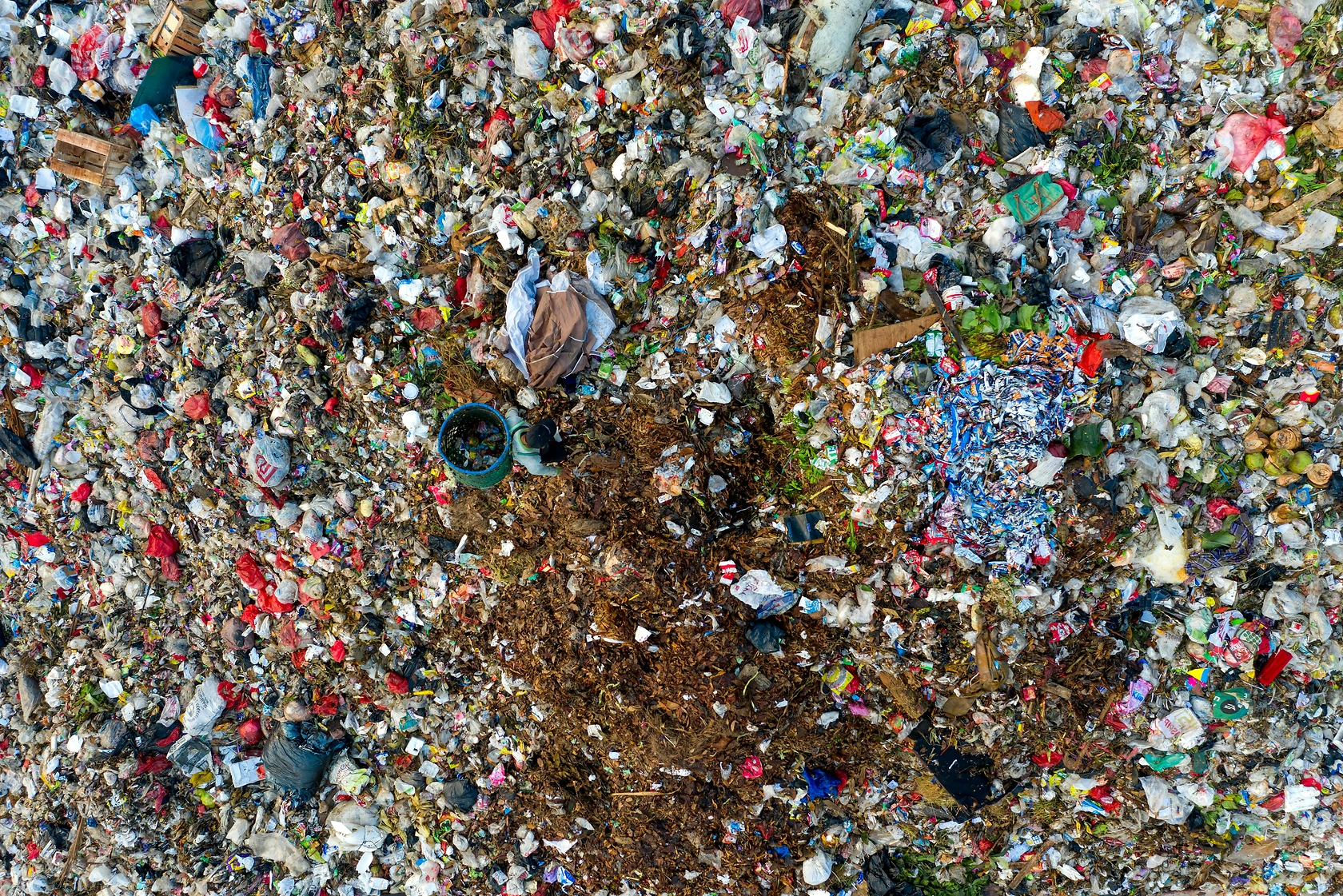 Great Lakes Initiative Cuts Fish Waste, 44 Companies Pledge Full Fish Utilization
