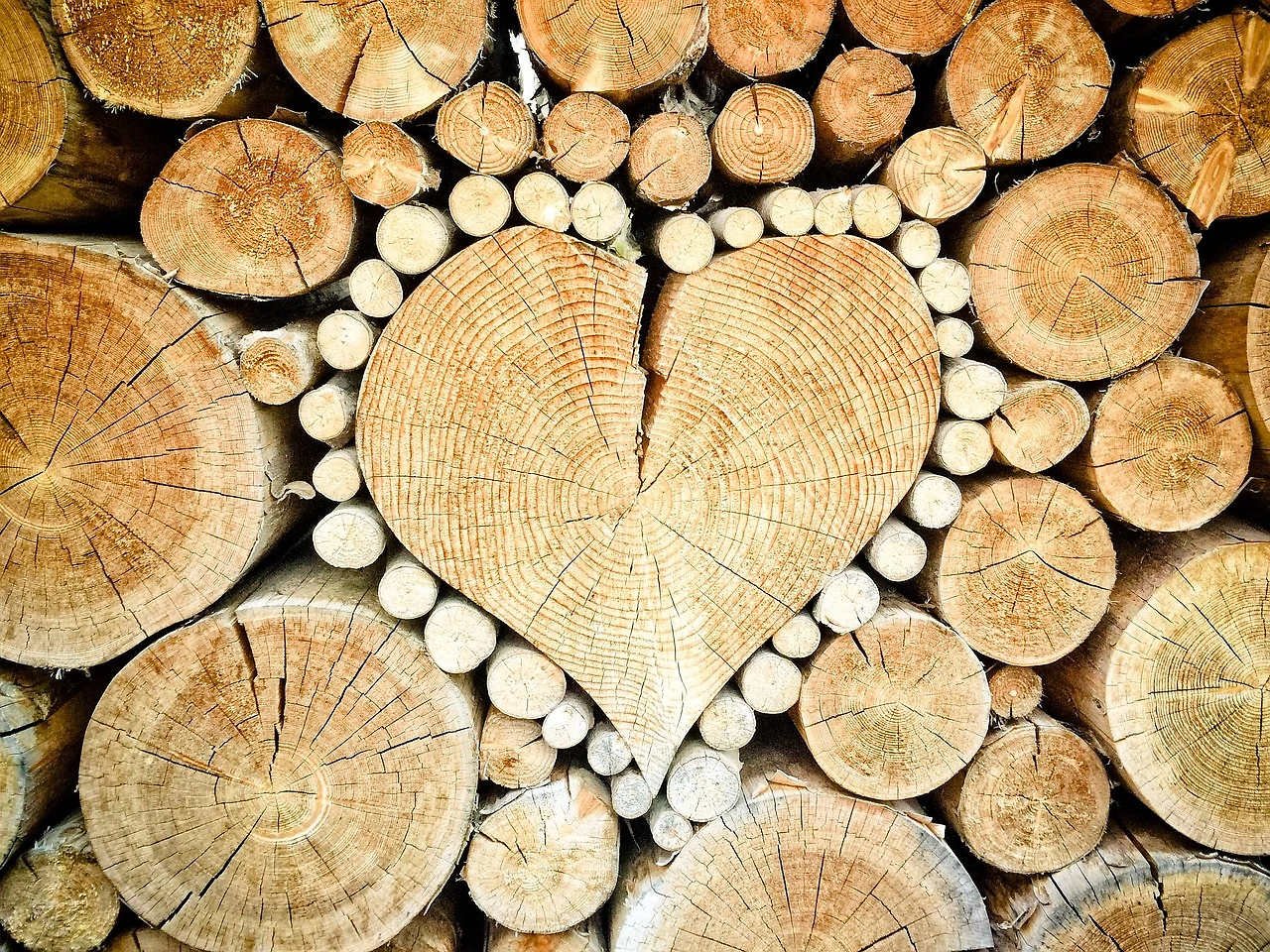 Northern Ontario Municipalities Urge Province to Continue Forestry Sector Support