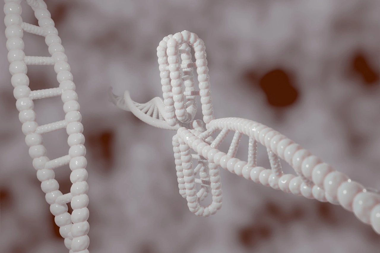 Illumina Reports Q4 2025 Revenue Beat and Issues 2026 Guidance