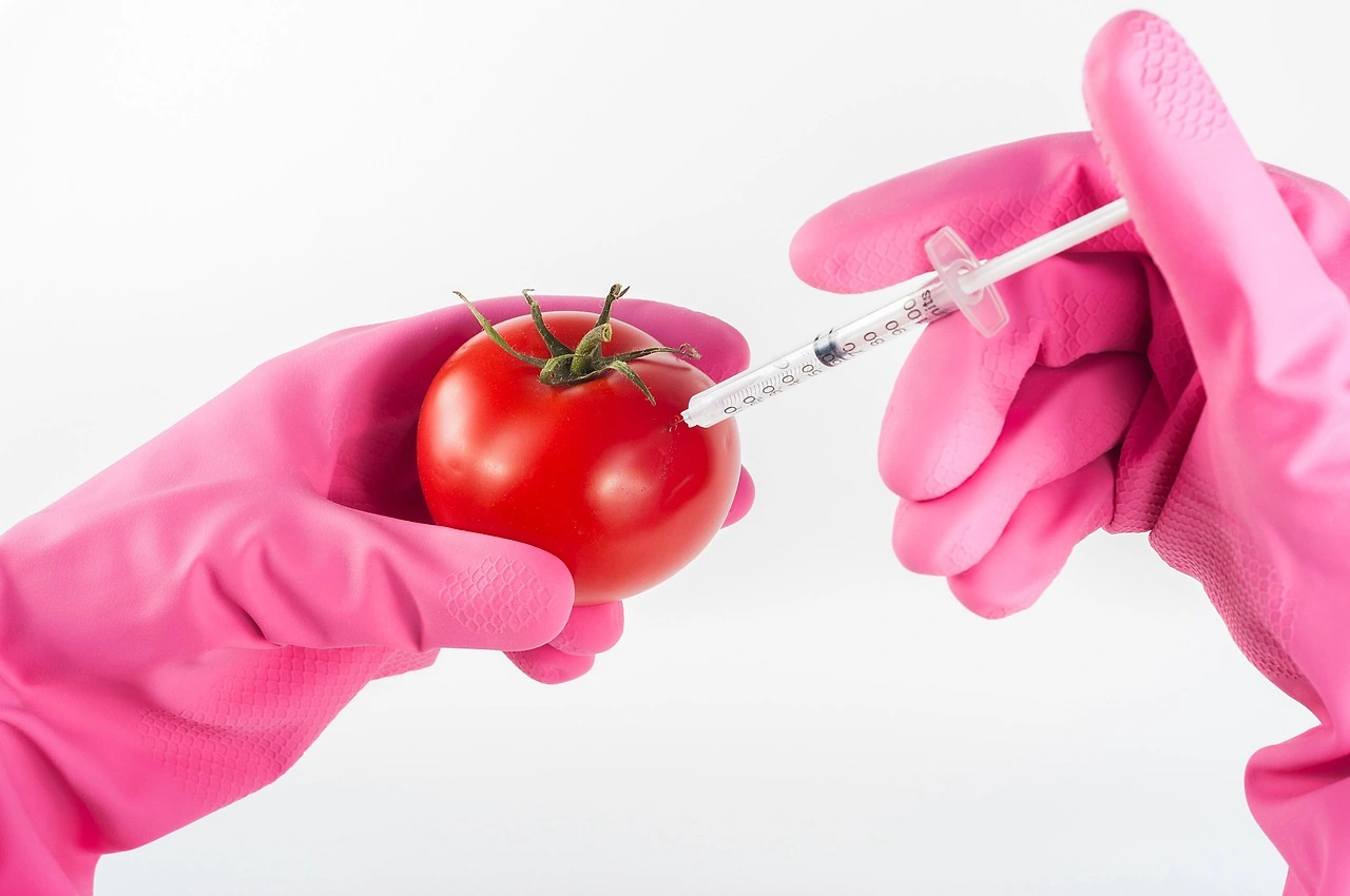 Asian Nations Reassess GMO Policies as Food Security Pressures Mount