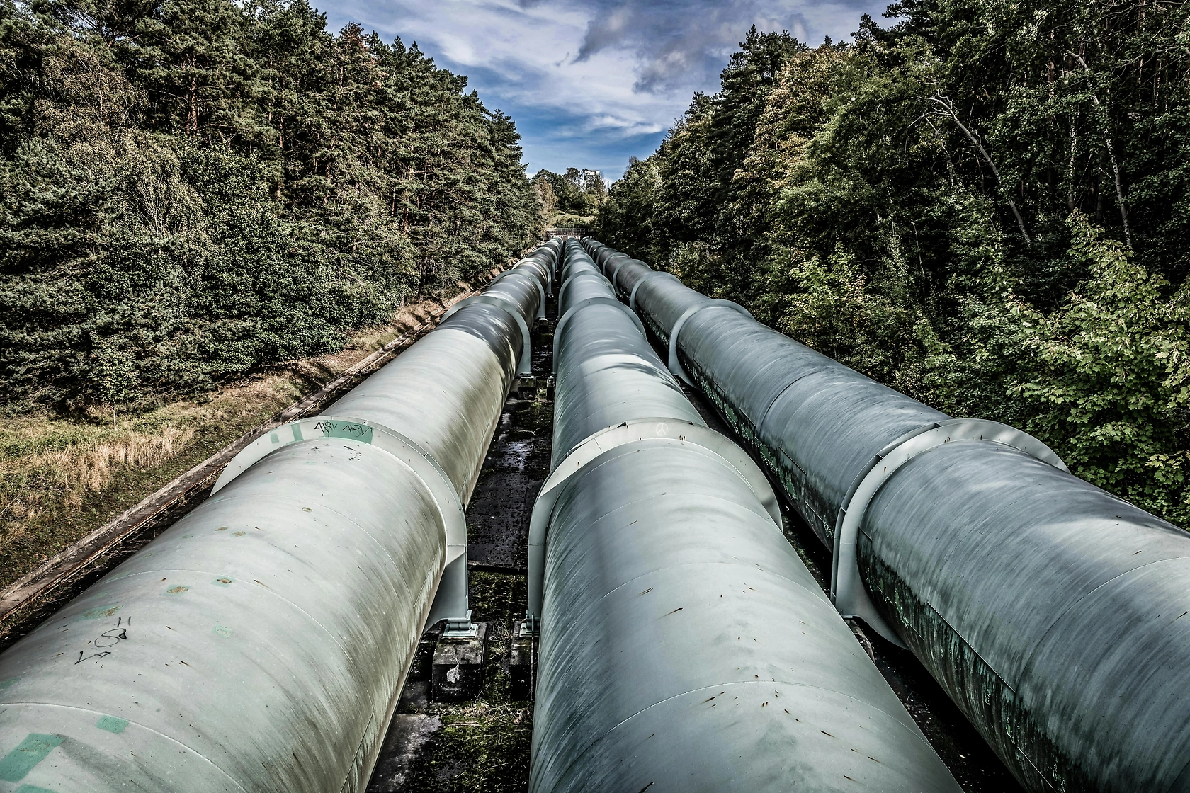 Nordic-Baltic Hydrogen Corridor Launches Market Survey in 2026