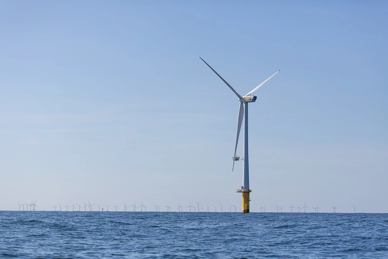 Dutch Government Sets September 2026 Tender for 1 GW Offshore Wind Project