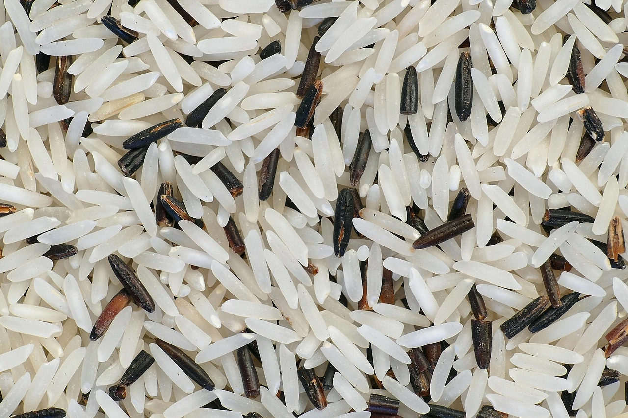 400,000 Tonnes of Indian Basmati Rice Exports Stranded by Shipping Crisis