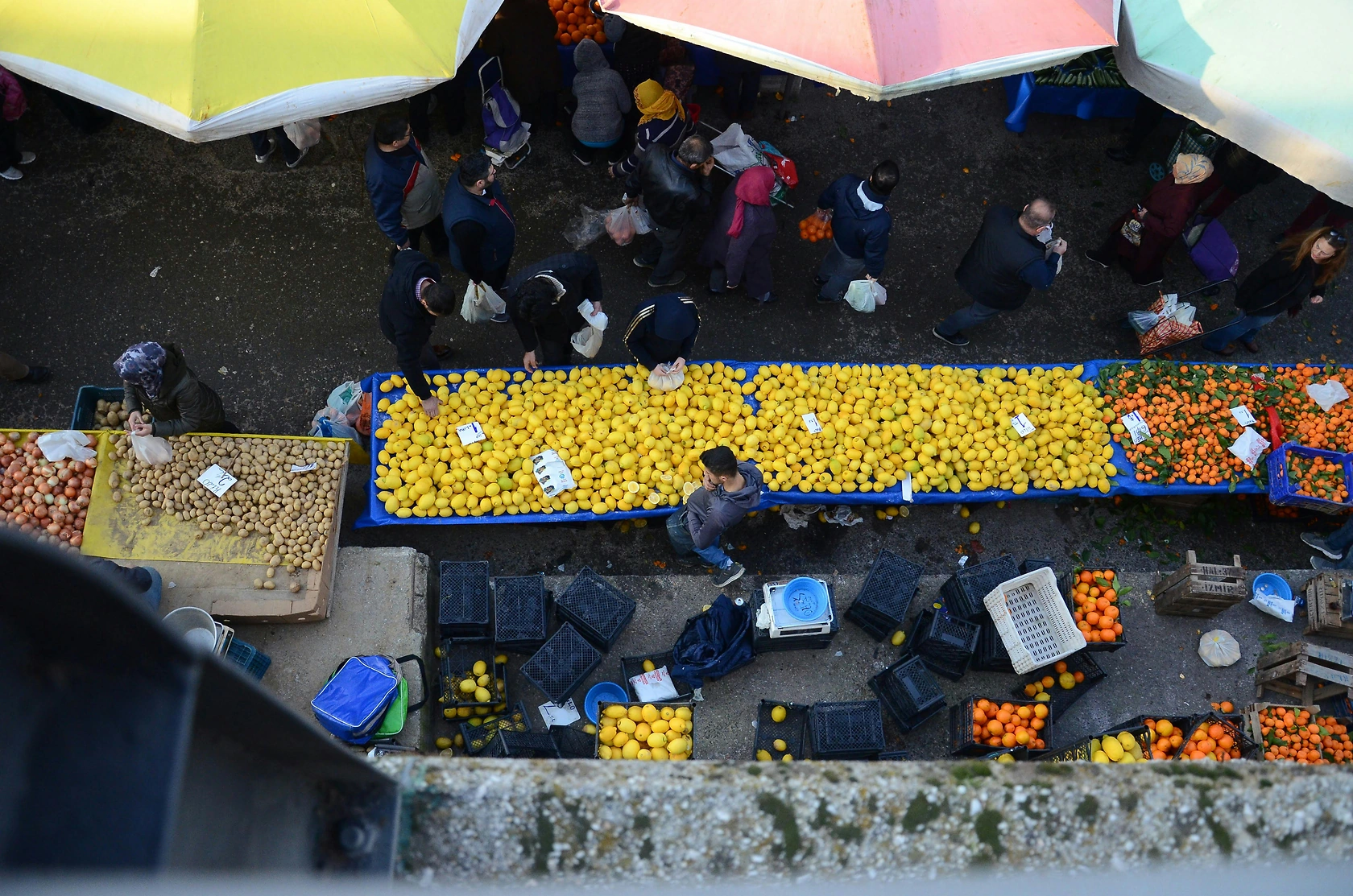 Limoneira Reports Fiscal Fourth Quarter and Full-Year Loss