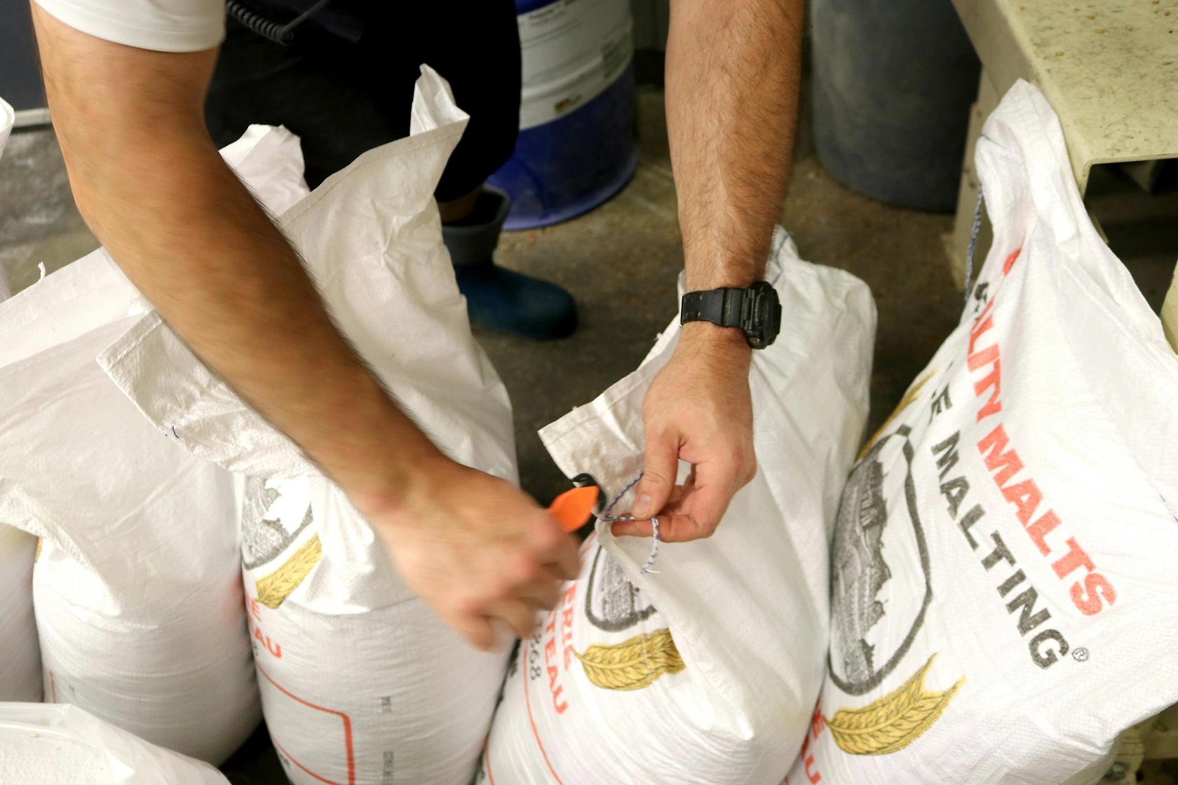Construction Begins on EUR100 Million Soufflet Malt Plant in South Africa