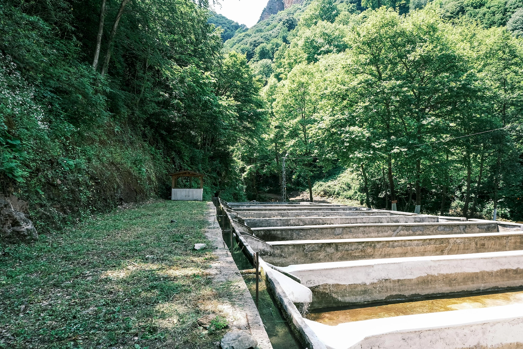Innovasea Degassing System Boosts Trout Egg Production at Utah Hatchery
