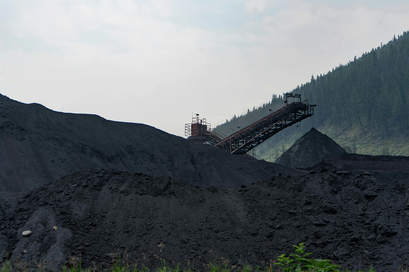 China's December Metallurgical Coal Imports Surge 28.3% as Australian Volumes Double