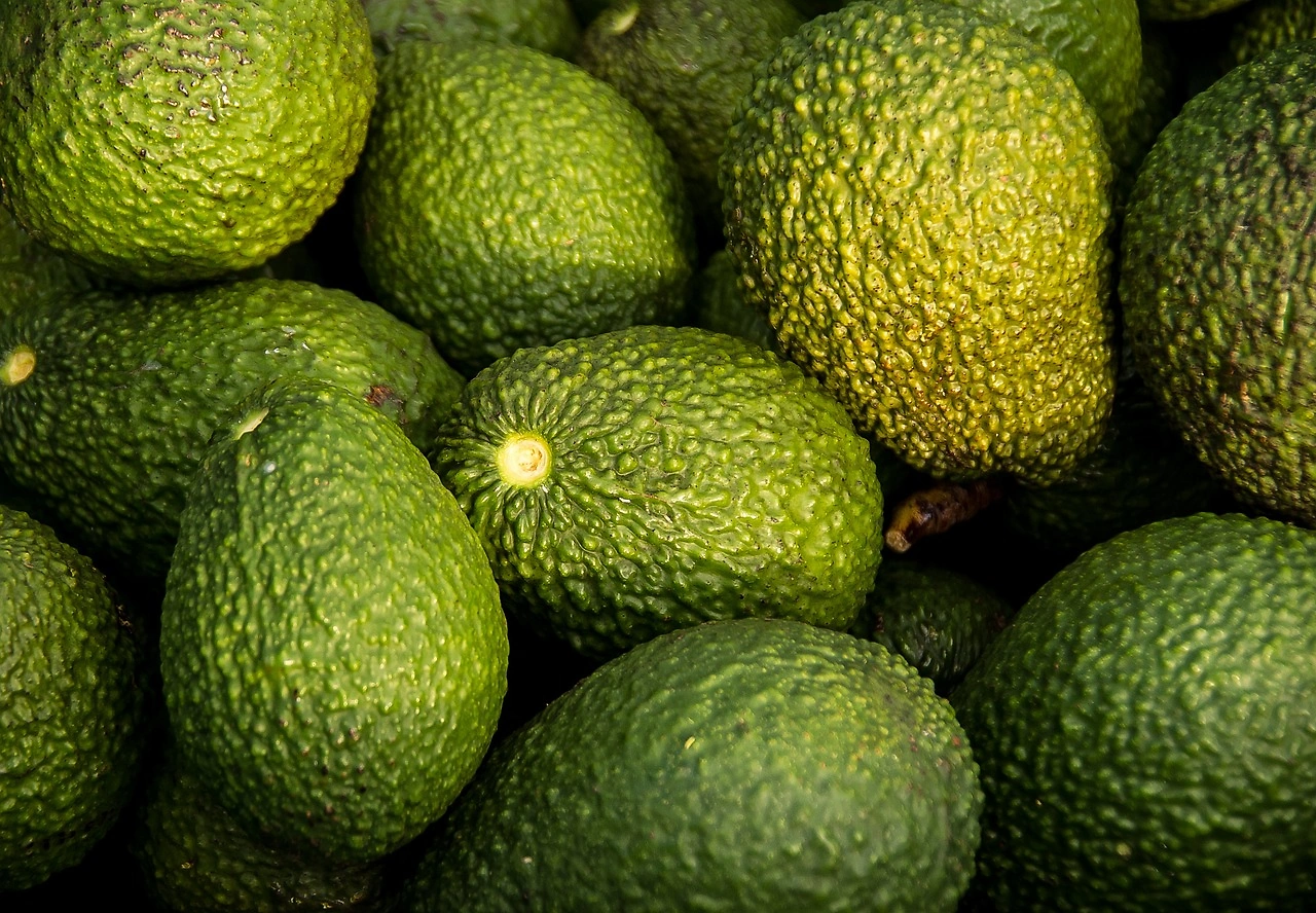 Mission Produce Q4 Results Beat Estimates Despite Avocado Price Decline