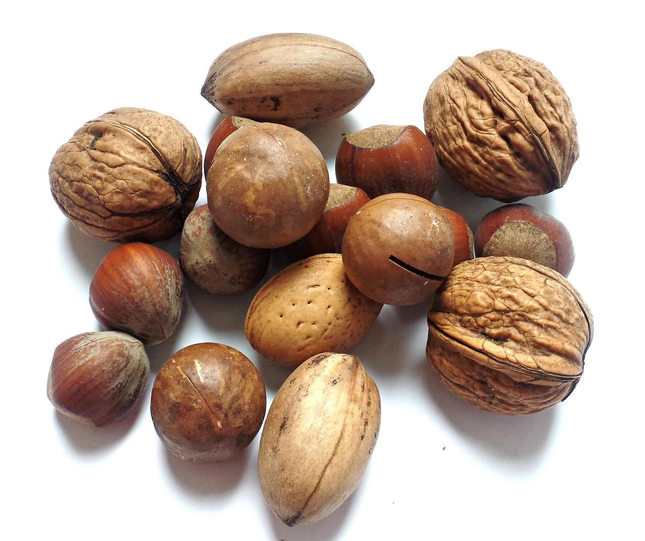 USDA AMS MyMarketNews: Chicago Terminal Market Nuts Wholesale Prices – June 10, 2026