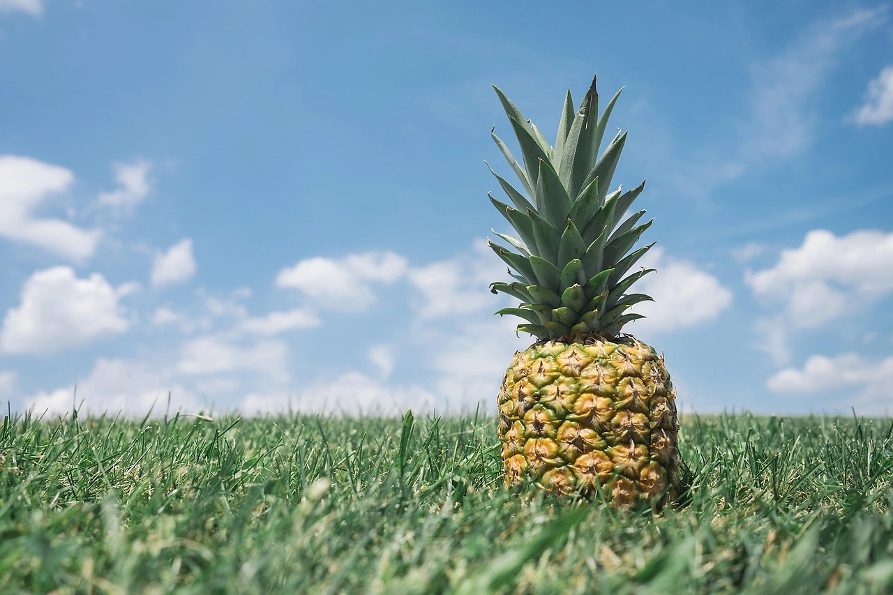 The $395 Pineapple: How Luxury Fruit Is Reshaping the Produce Aisle